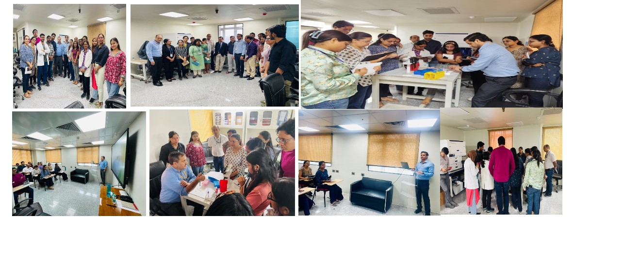 Training & Workshop